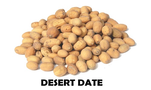 Home [muminagrofoods.com.ng]