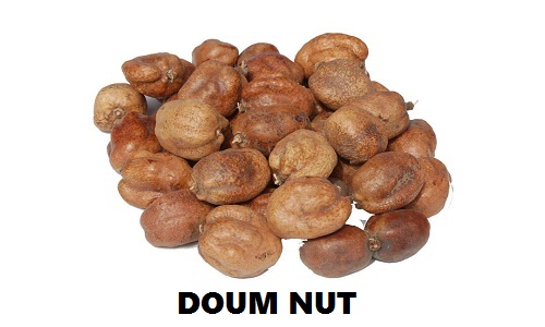 Home [muminagrofoods.com.ng]